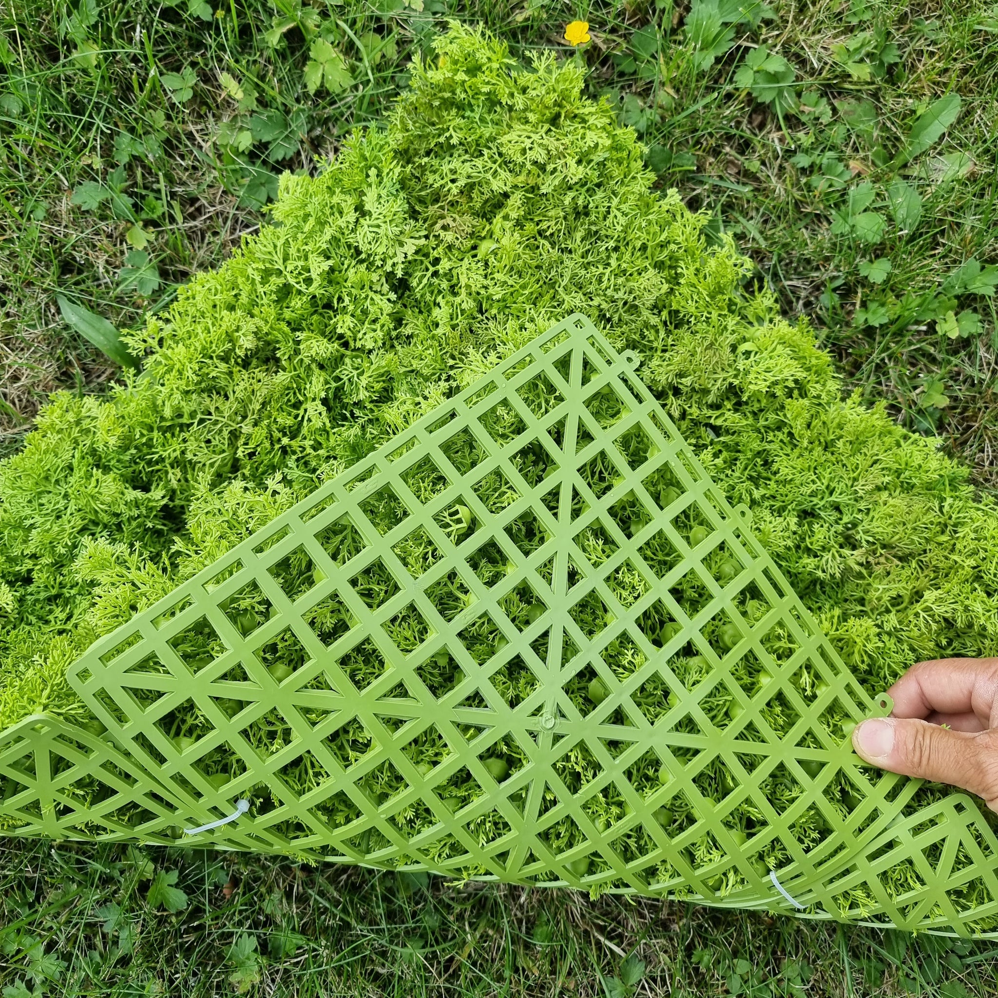 Artificial Moss Panel 50x50cm – Hedgedin