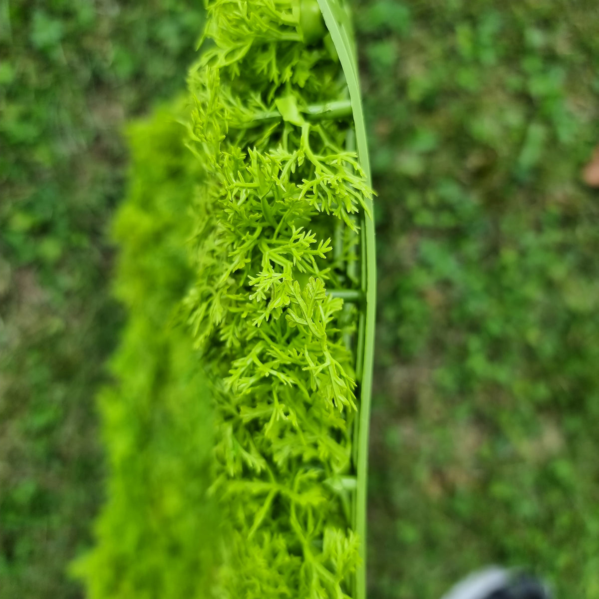 Artificial Moss Panel 50x50cm – Hedgedin