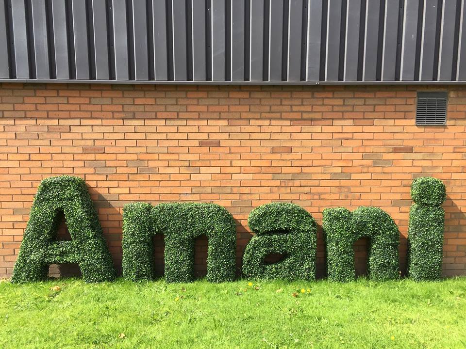 Artificial Bespoke Boxwood Hedge Letter by Hedgedin