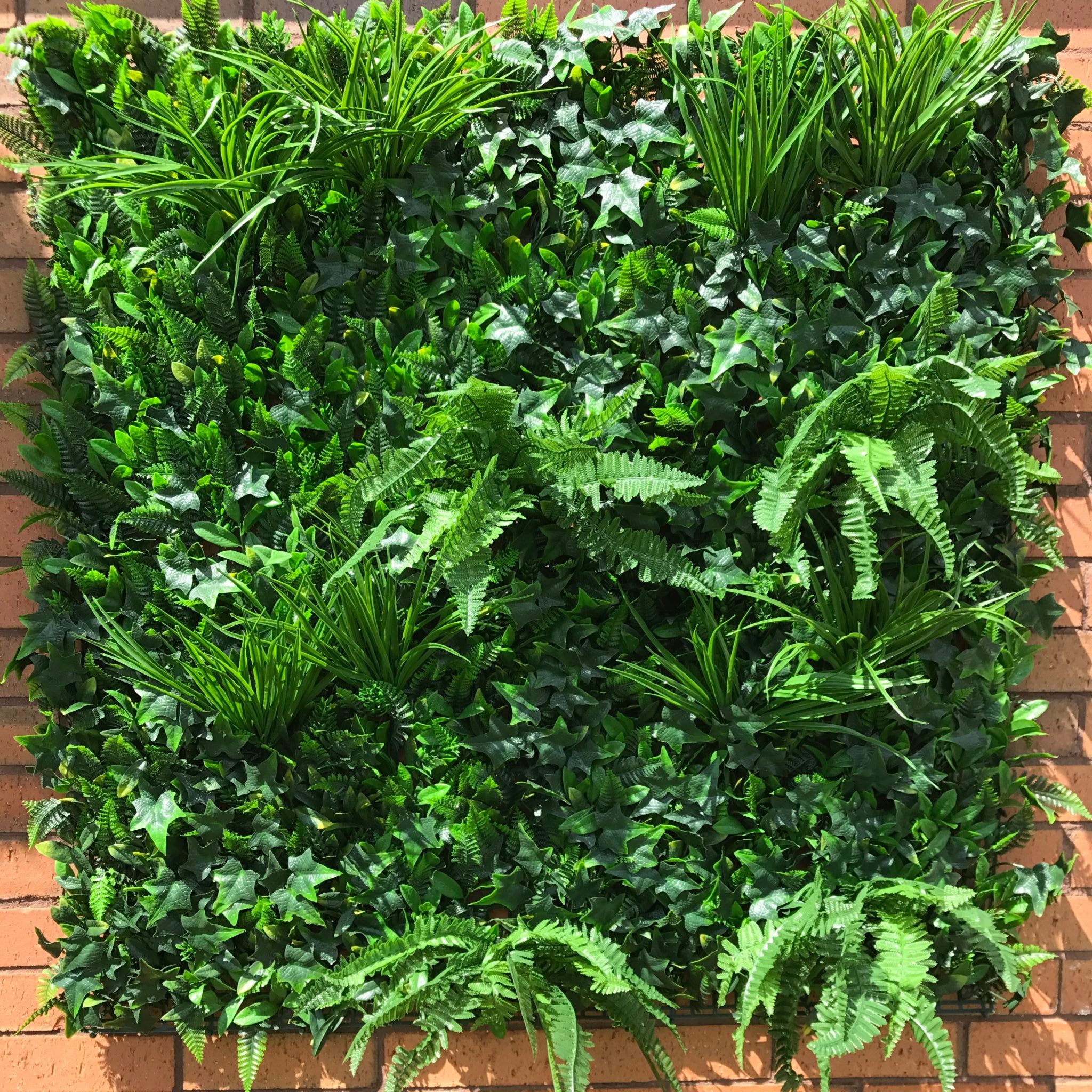 Artificial Instant Green Wall Hedge Panel Mixed Plants 100cm X 100cm ...