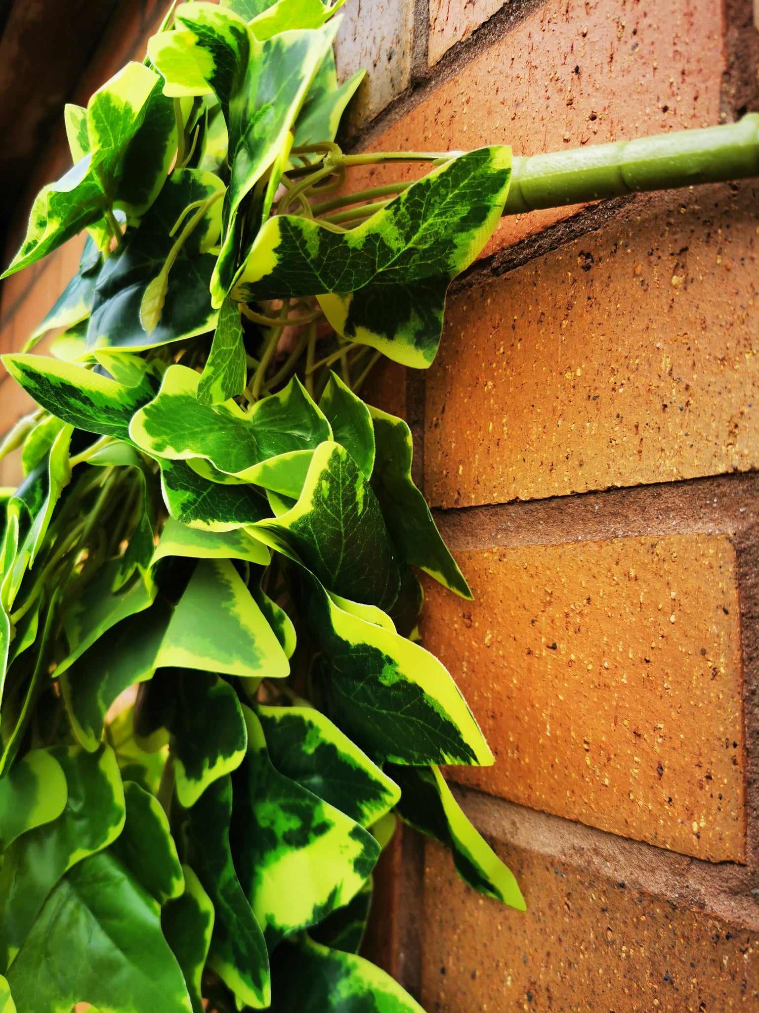 Artificial Ivy Trellis 120cm – Hedgedin