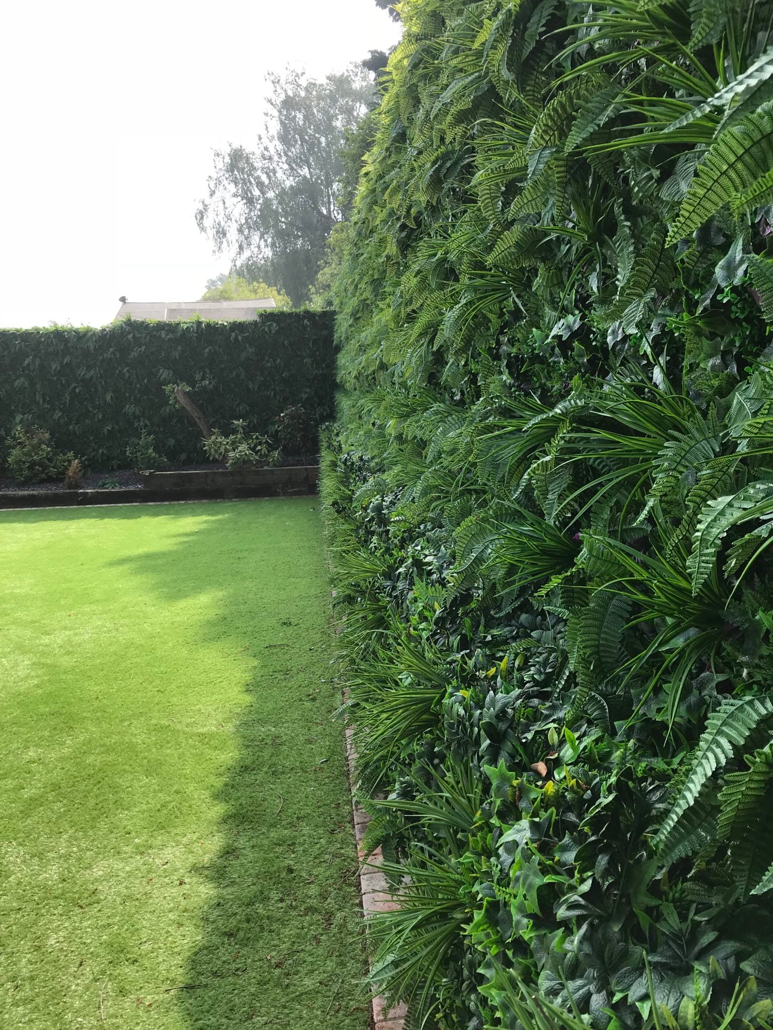Artificial Instant Green Wall Hedge Panel Mixed Plants 100cm X 100cm ...